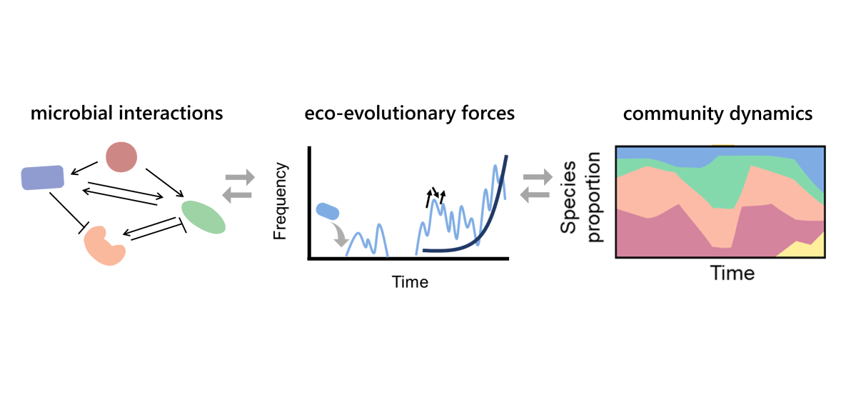 Xue lab at UC Irvine – Ecology and evolution in the human gut microbiome